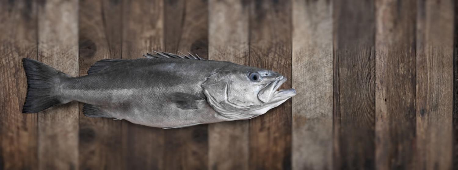 Fresh from our boats to you, Daily :: Gisborne Fisheries